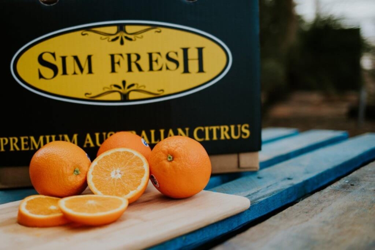 ミルデューラで1年半ファームしてみた！現地情報をレポート